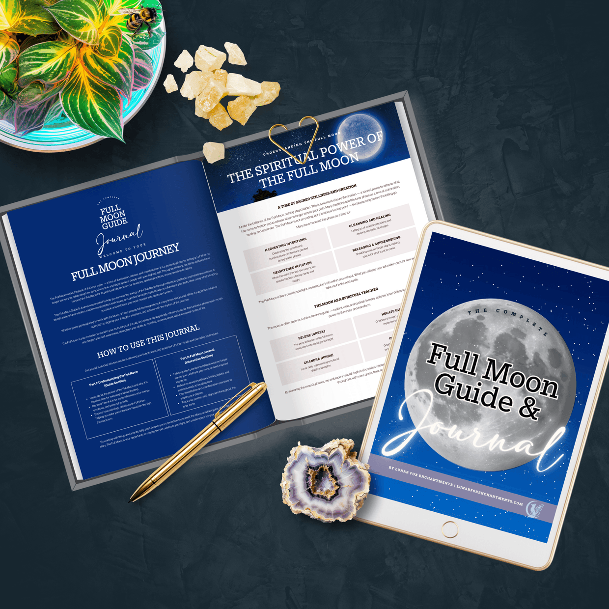 Printable Full Moon Guide & Journal