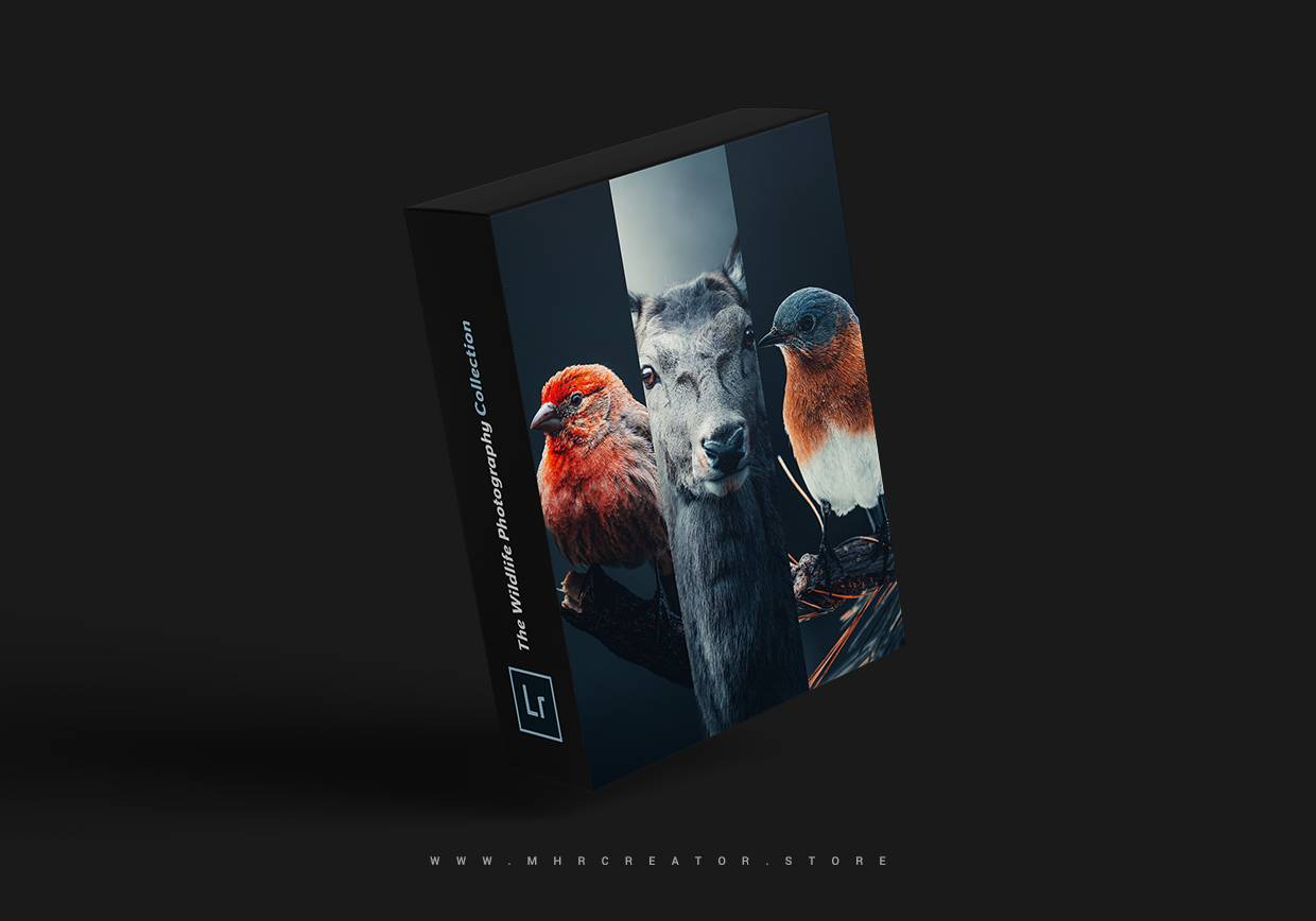 The Wildlife Photography Collection