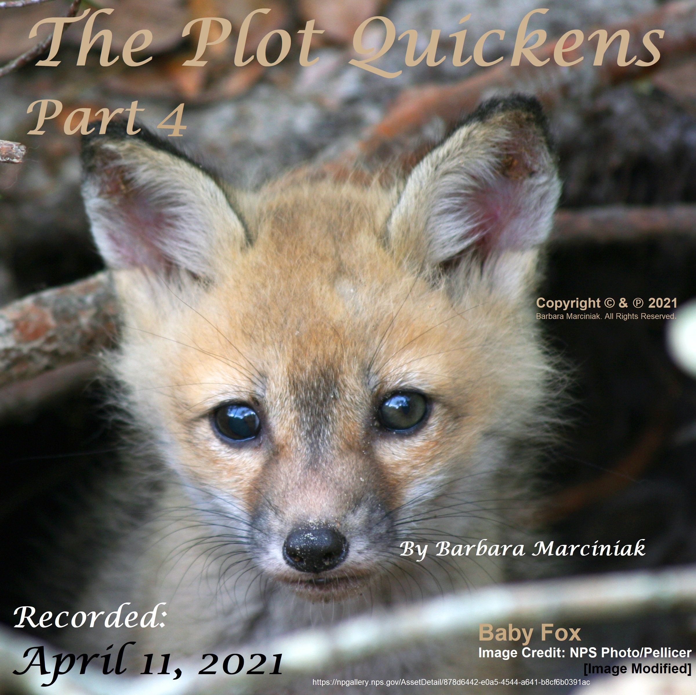 Extraordinary Happenings - Part 1