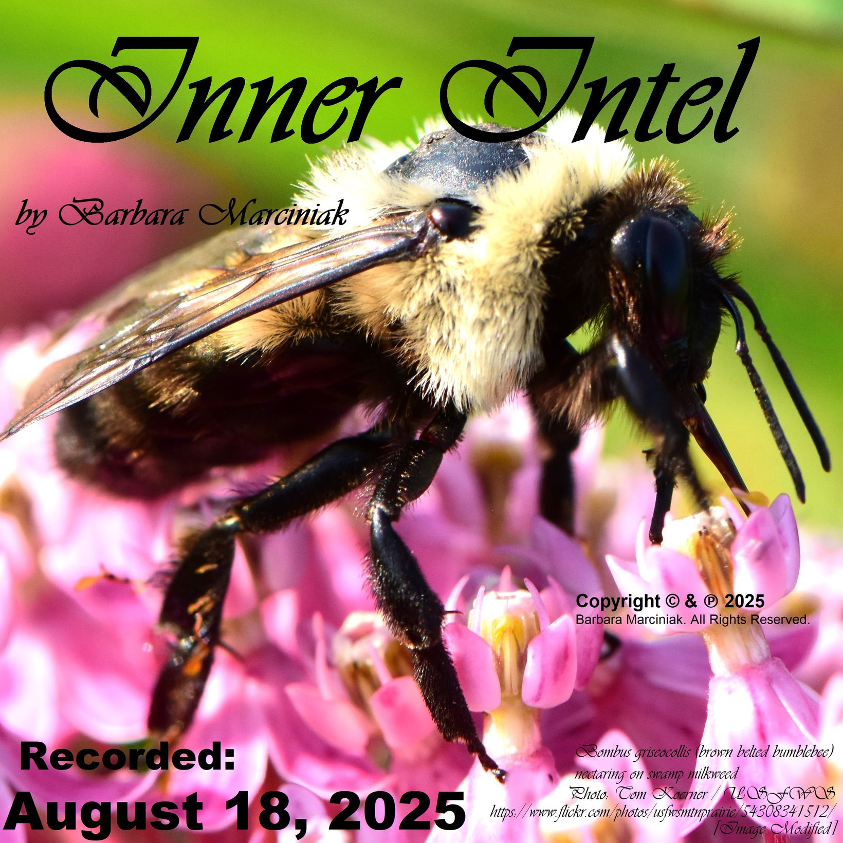 Bold Connections Unlimited