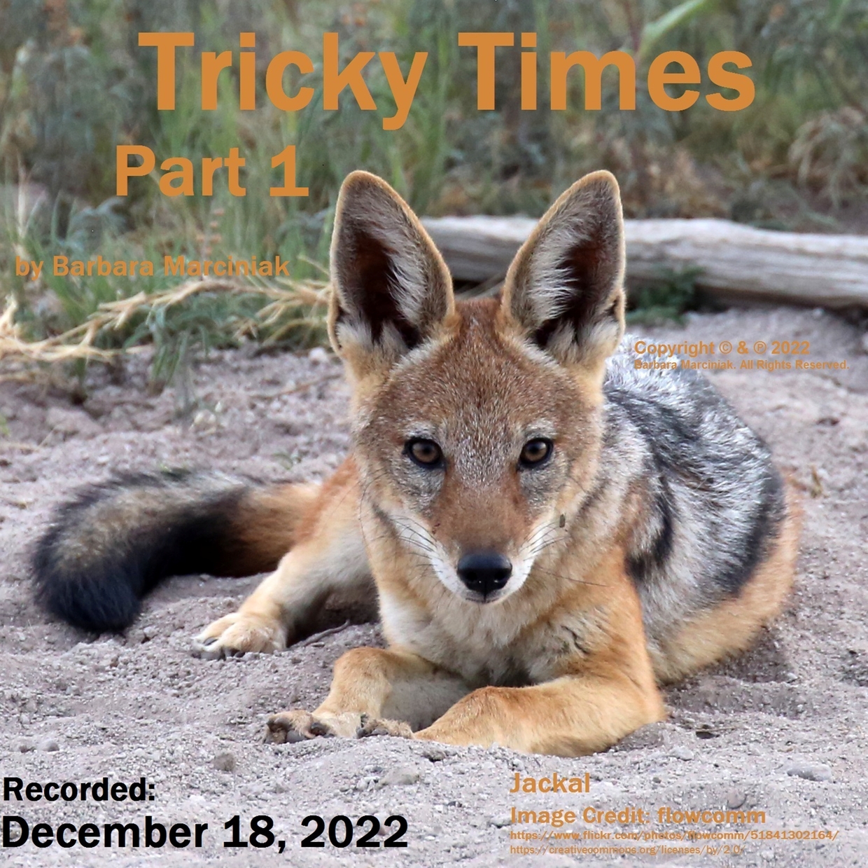 Tricky Times - Part 1