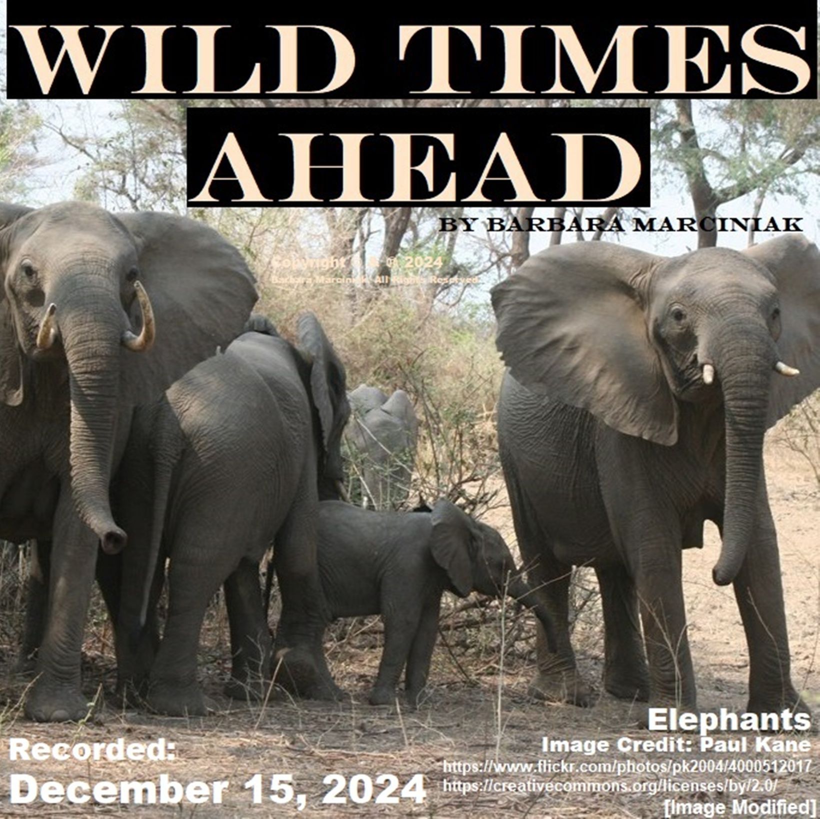 Bold Connections Unlimited