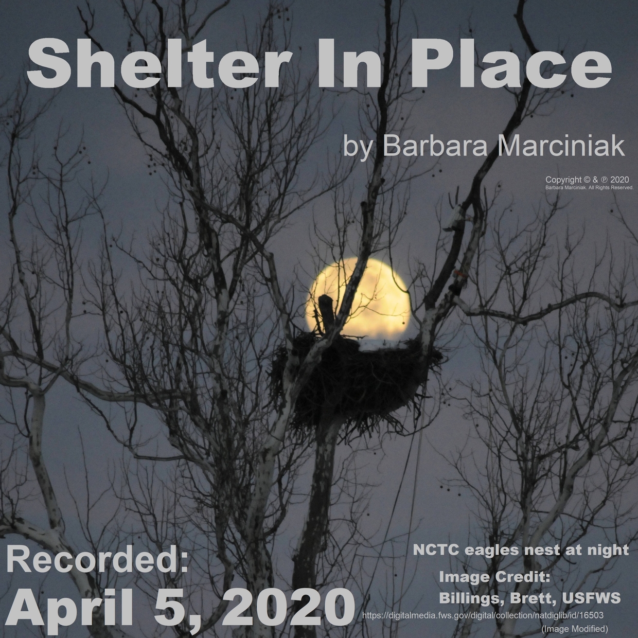 Shelter In Place