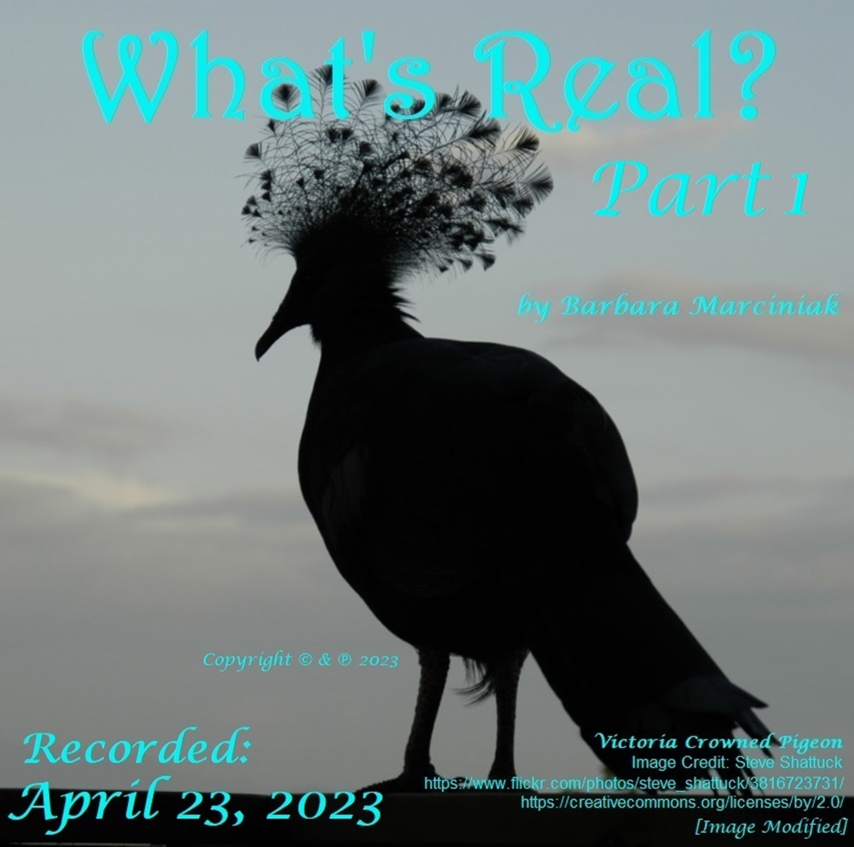 What's Real? - Part 1