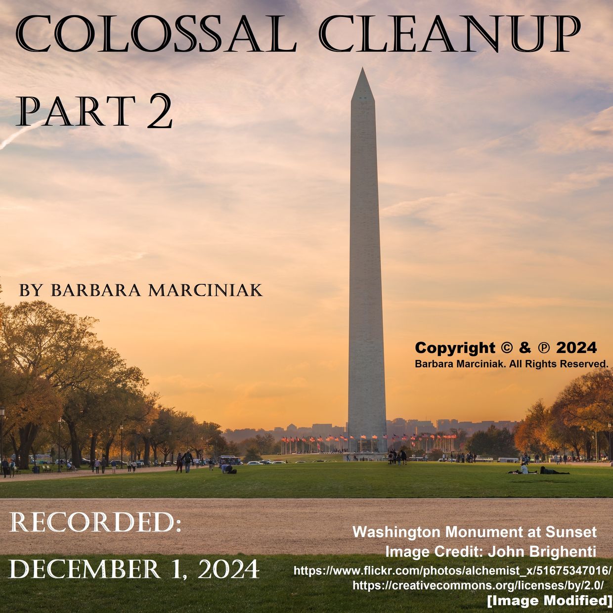 Colossal Cleanup - Part 2