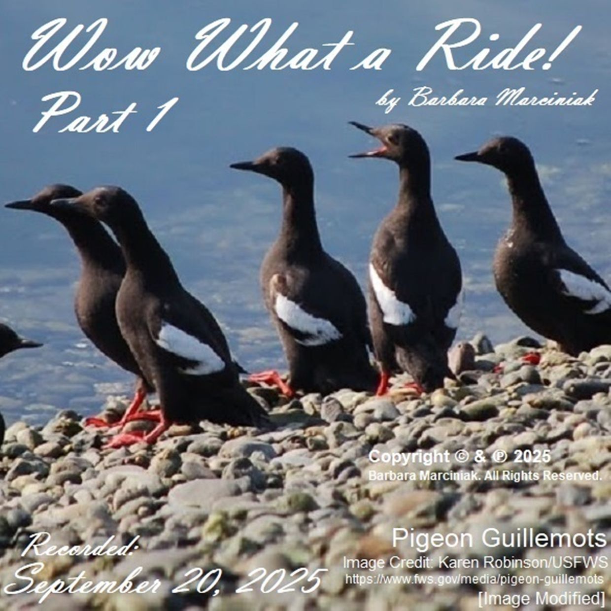 Wow What a Ride! - Part 1