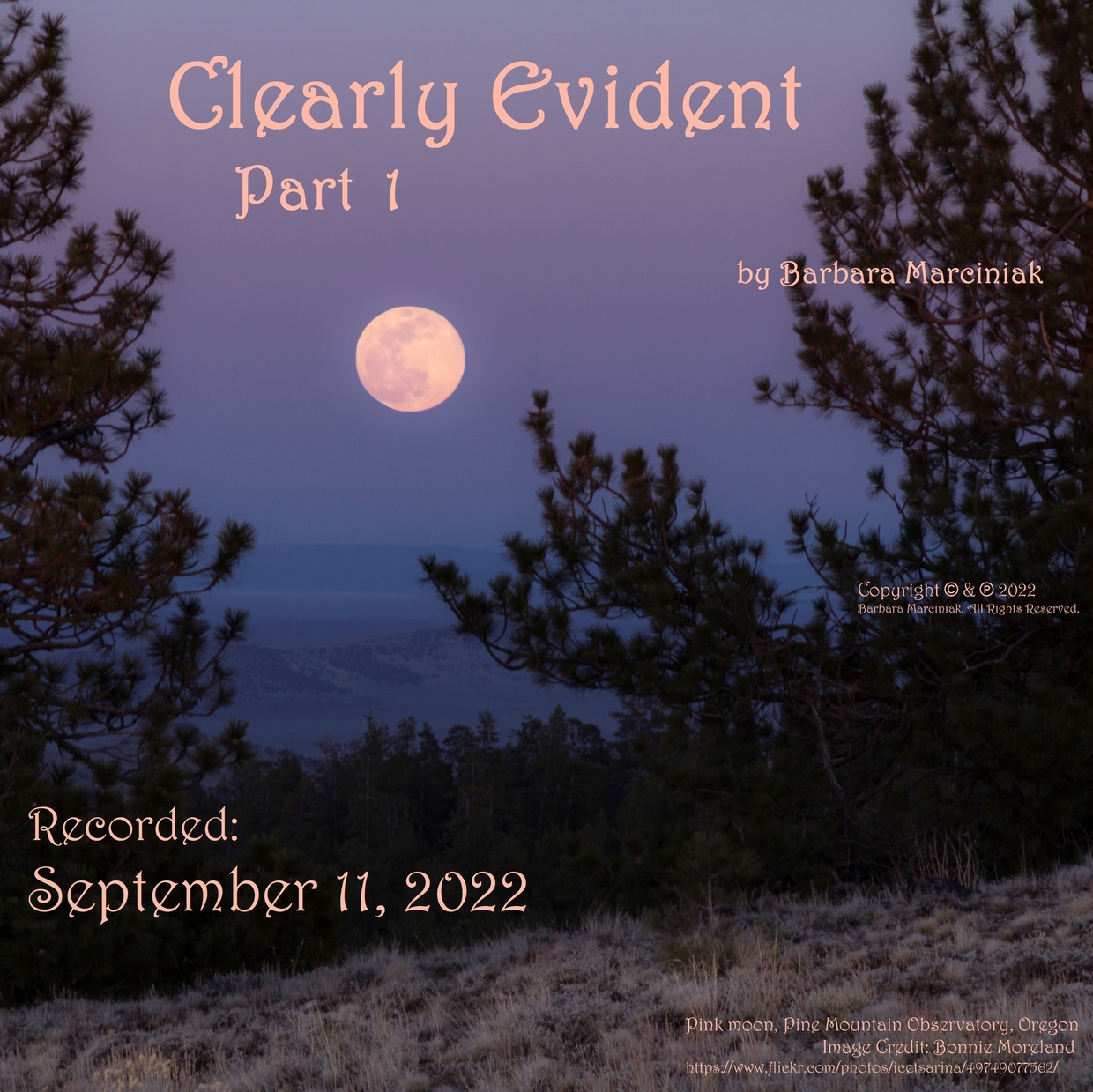 Clearly Evident - Part 1