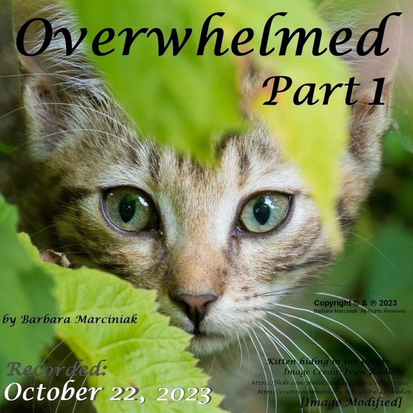 Overwhelmed - Part 1