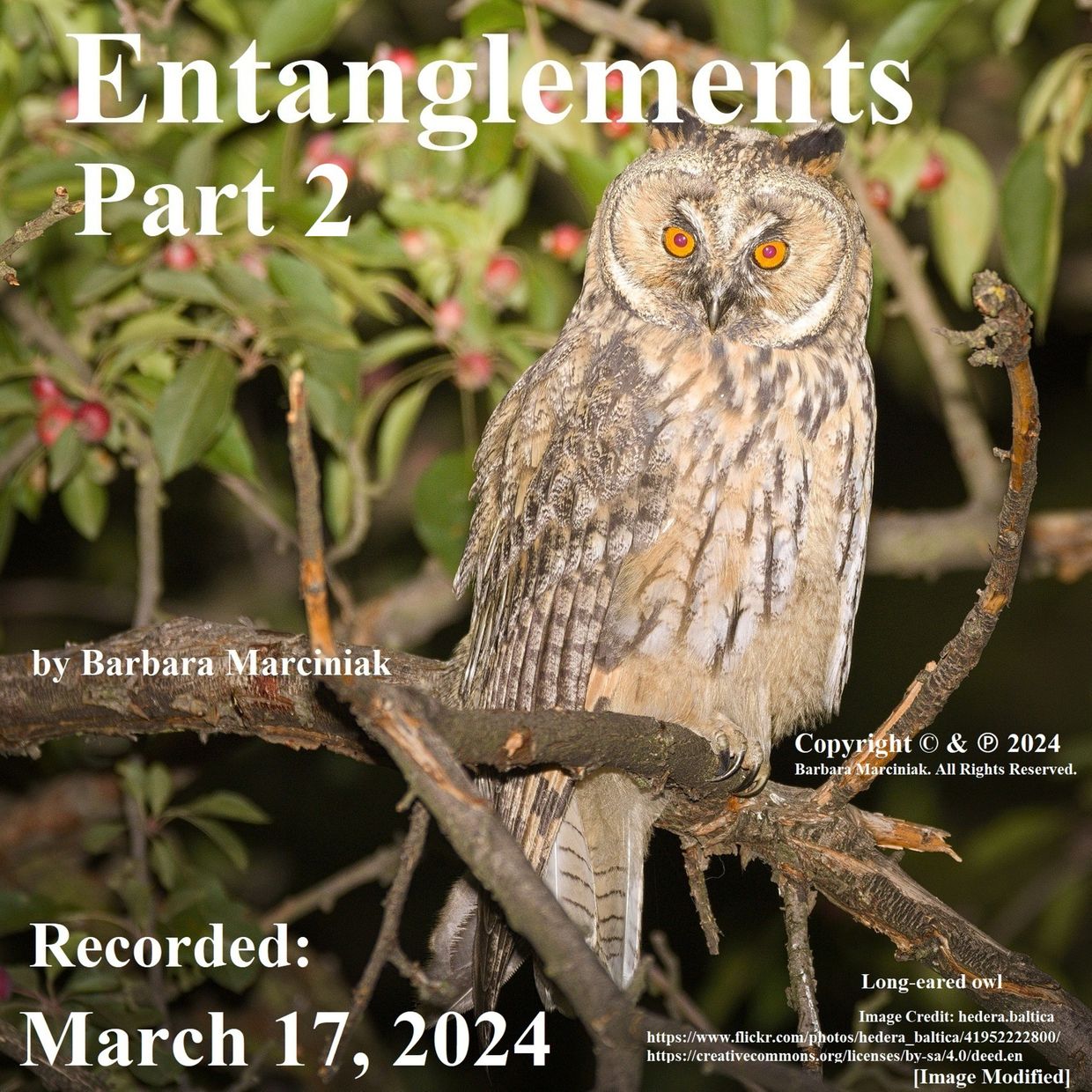 Entanglements - Part 2