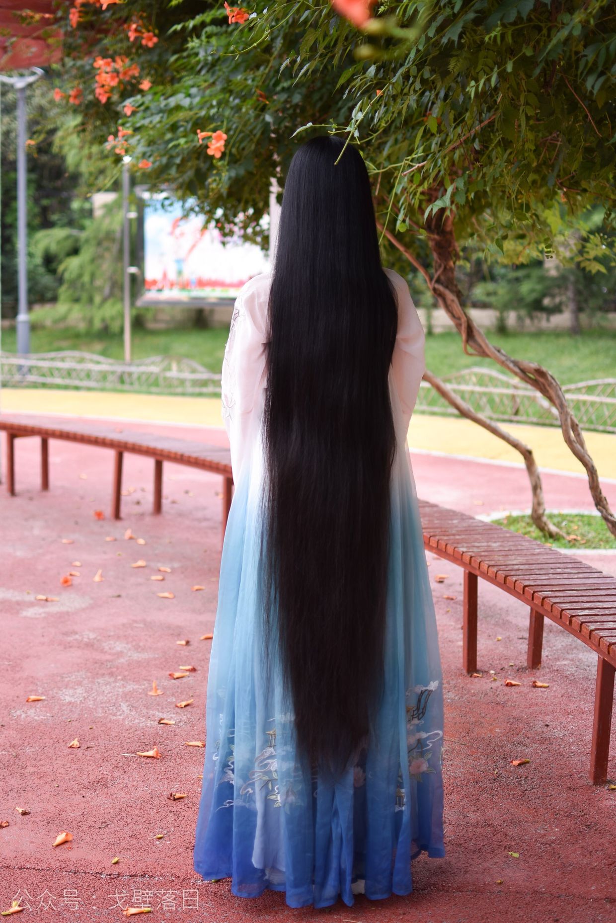 Long Hair Display 044#