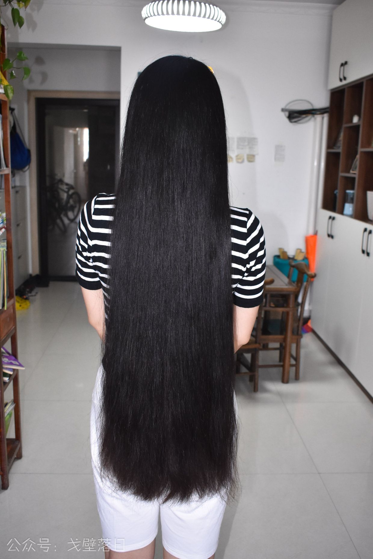 Long Hair Display 047#
