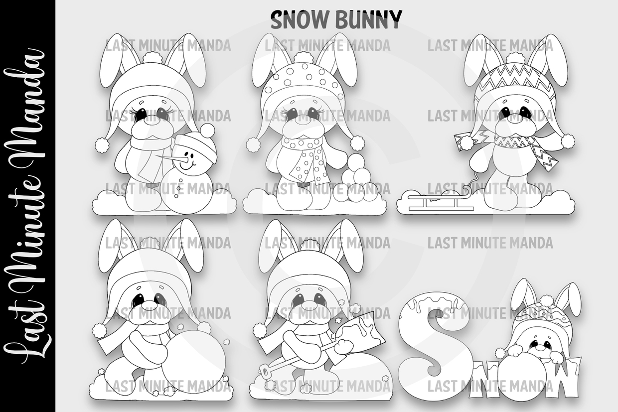 Snow Bunny