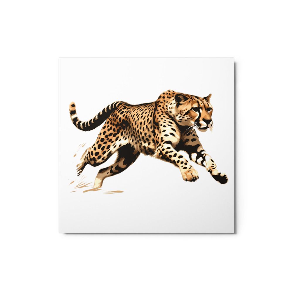 Glossy Metal Print, Cheetah running, multiple sizes