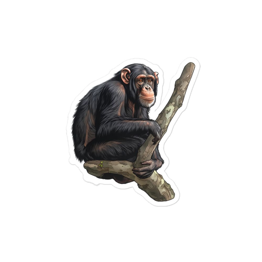 Sticker 4x4, Chimpanzee sitting on branch in a tree