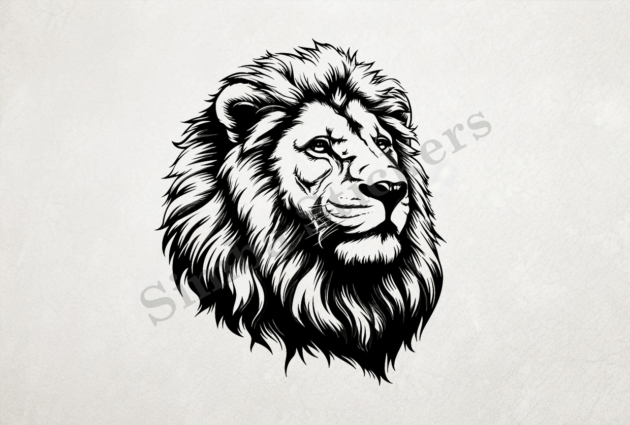 Majestic-looking lion, outline art, mjsy3z