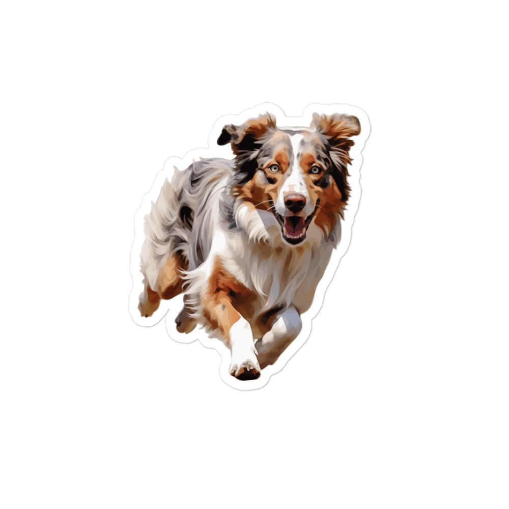 Sticker 4x4, Dog barking, Australian Shepherd dog running and panting