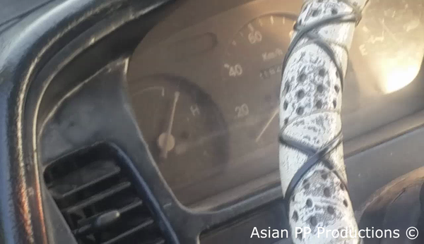 169 - Hanna and smokey Multicab