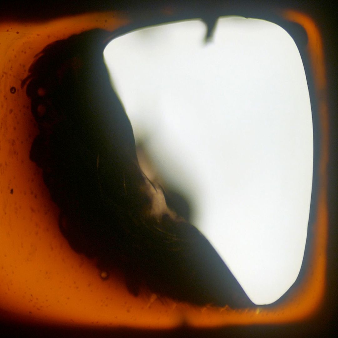 Film burn effects - 16mm - 4K