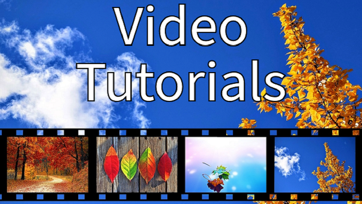 Feng Shui Key Concepts Video Tutorials - Complete Set (Parts 1 to 5)