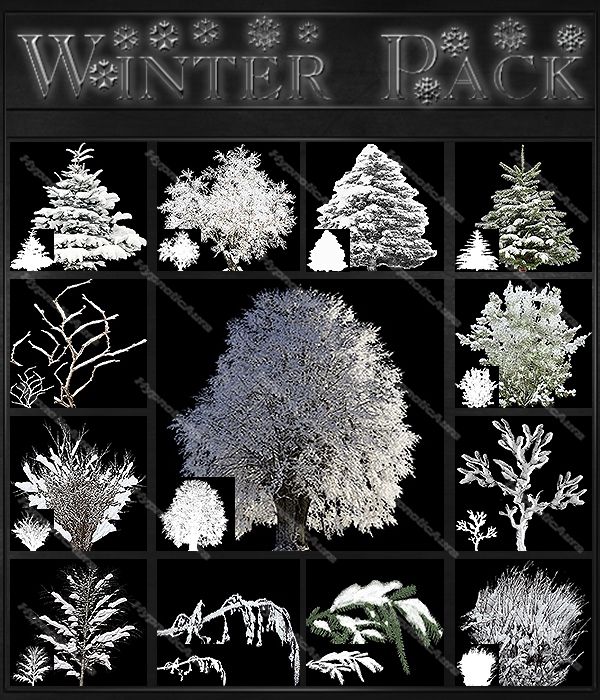 Pegasus Texture Pack