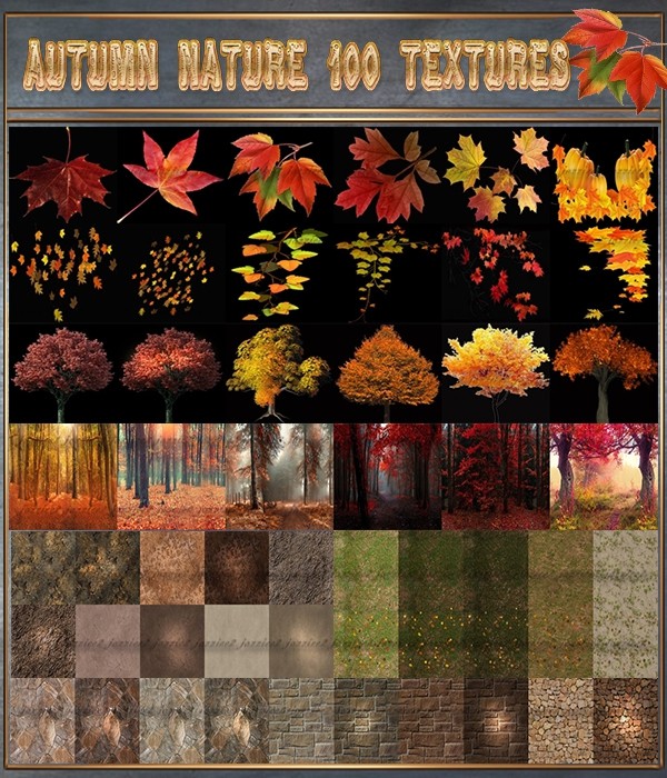Autumn Nature 100 Mixed Seamless Textures