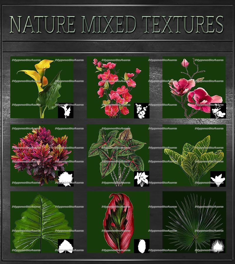 A~NATURE-100 MIXED TEXTURES&OPACITIES