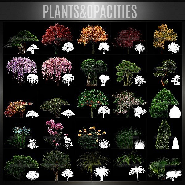 A~PLANTS&OPACITIES 120 TEXTURES