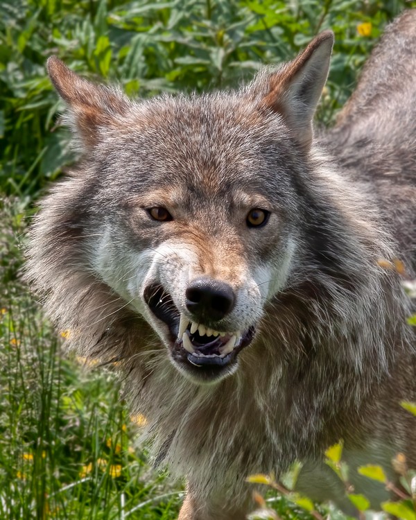 3 Short Comedy Scripts