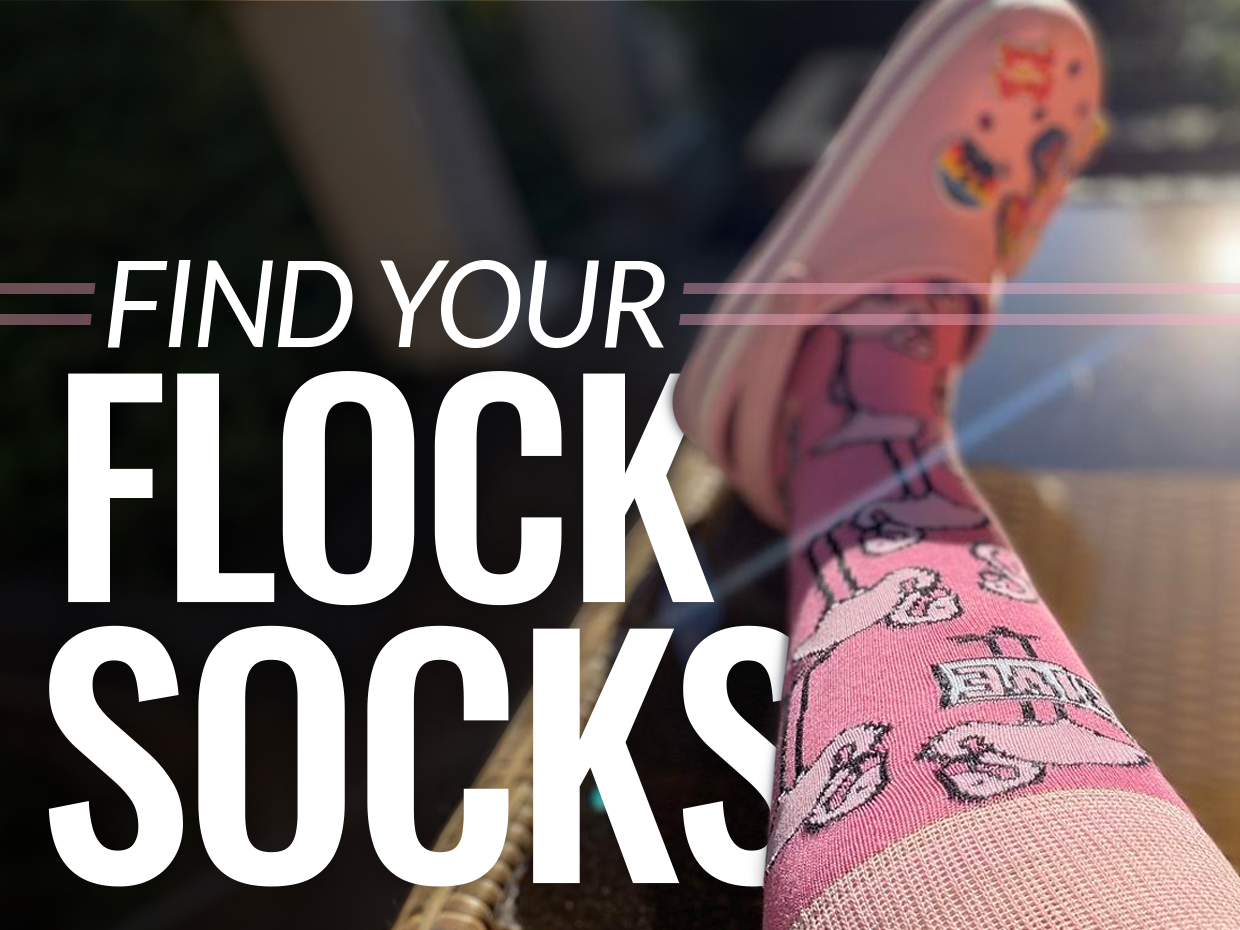 Find Your Flock Socks