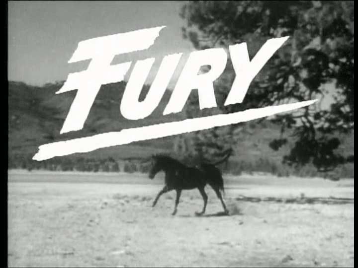 Fury Tv Series Five Seasons 102 Episodes DVD