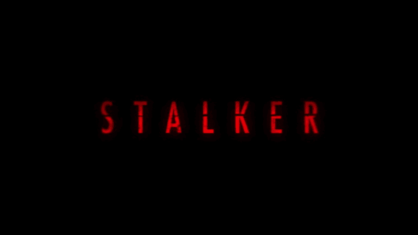 STALKER COMPLETE SERIES DVD