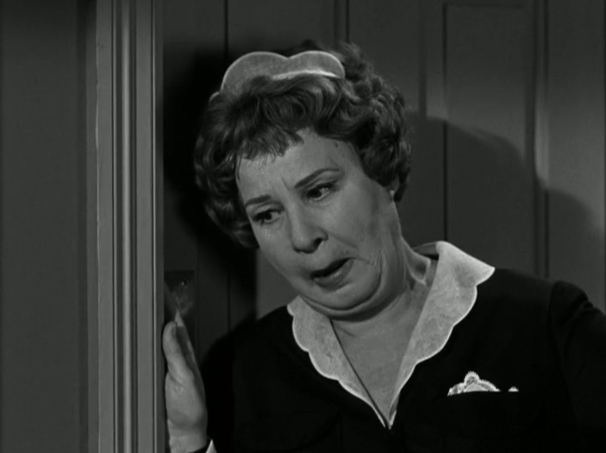 HAZEl (1961) The Complete Series DVD