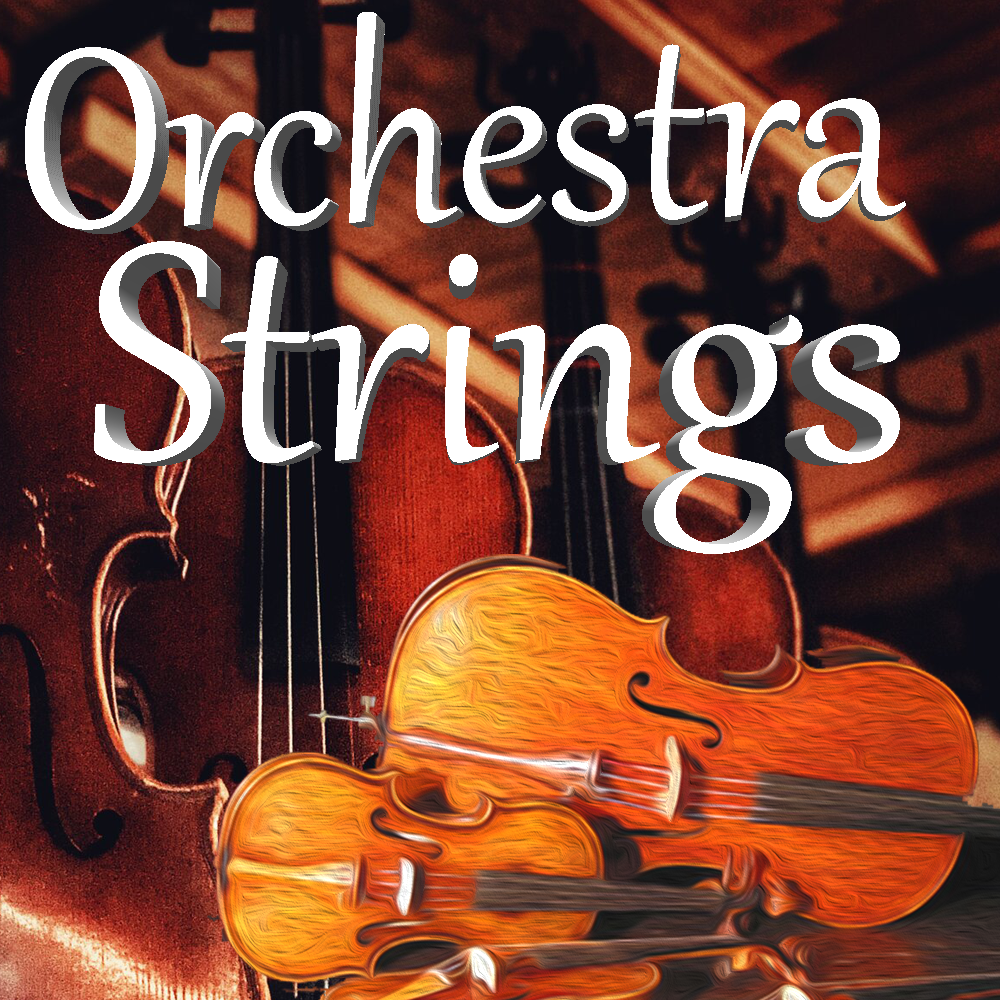 Instruments Of The Orchestra Strings