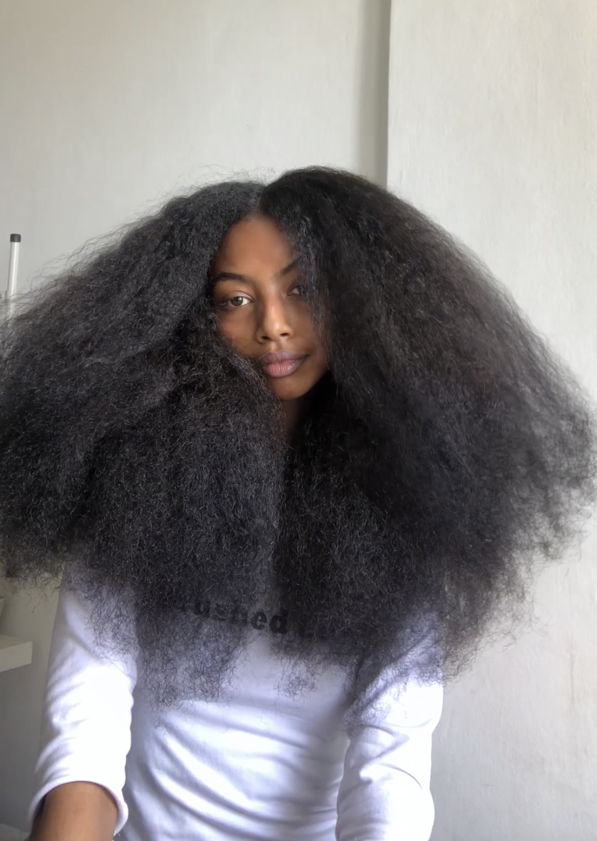 Josi’s Big Brushed Out Curls