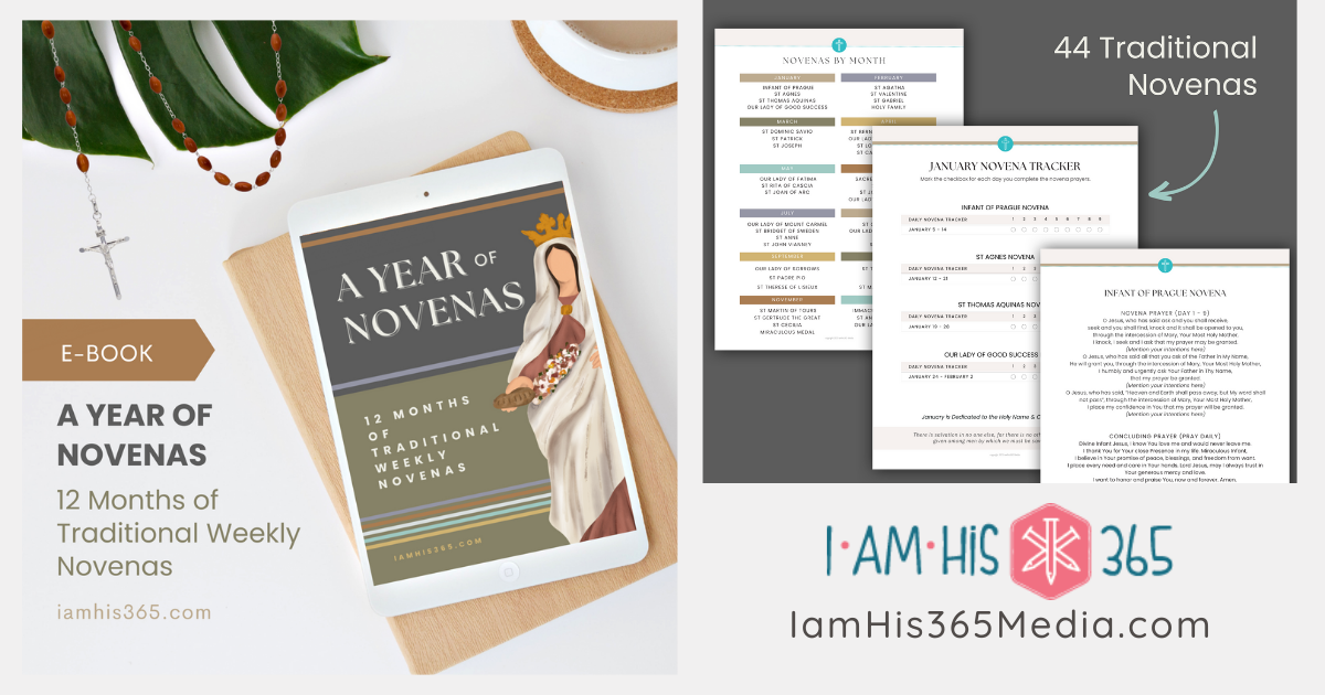 A Year of Novenas : 12 Months of Traditional Weekly Novenas eBook | 44 ...