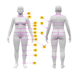 Avatar Body Measurements Chart | Womens US Sizing