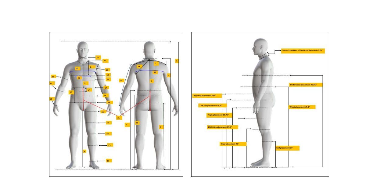 Mens Avatar Body Measurements Chart Size 44