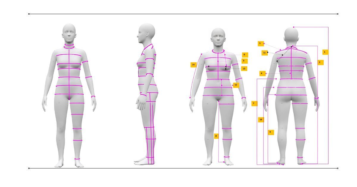 Women's 3D Avatar Body Measurement Chart | Size 2 (Bust 33" | 84 cm)