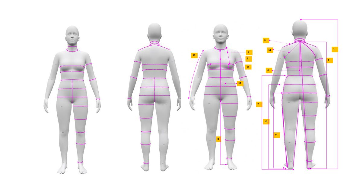 Women's 3D Avatar Body Measurement Chart | Size 8 (Bust 36" | 91.6 cm)