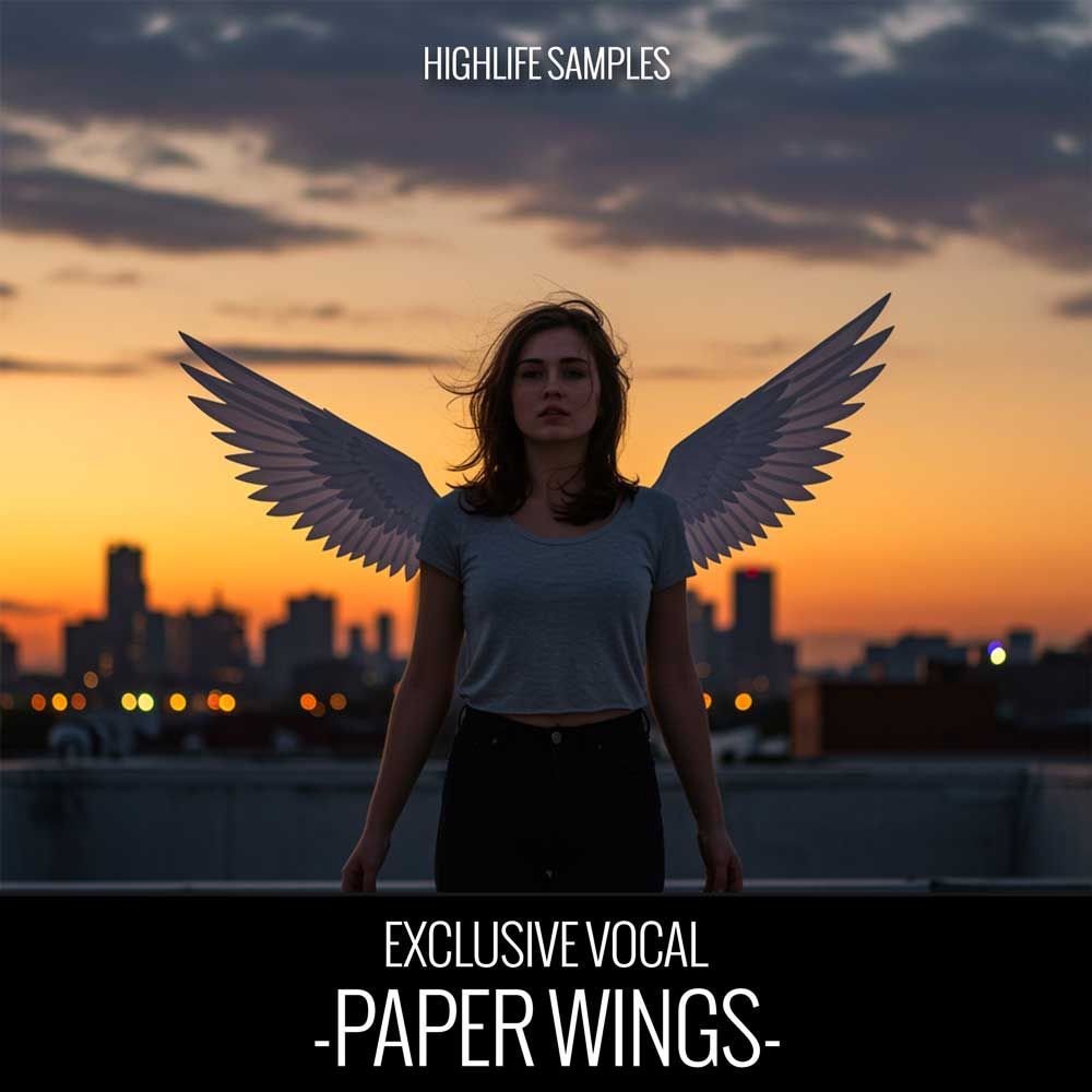 Paper Wings