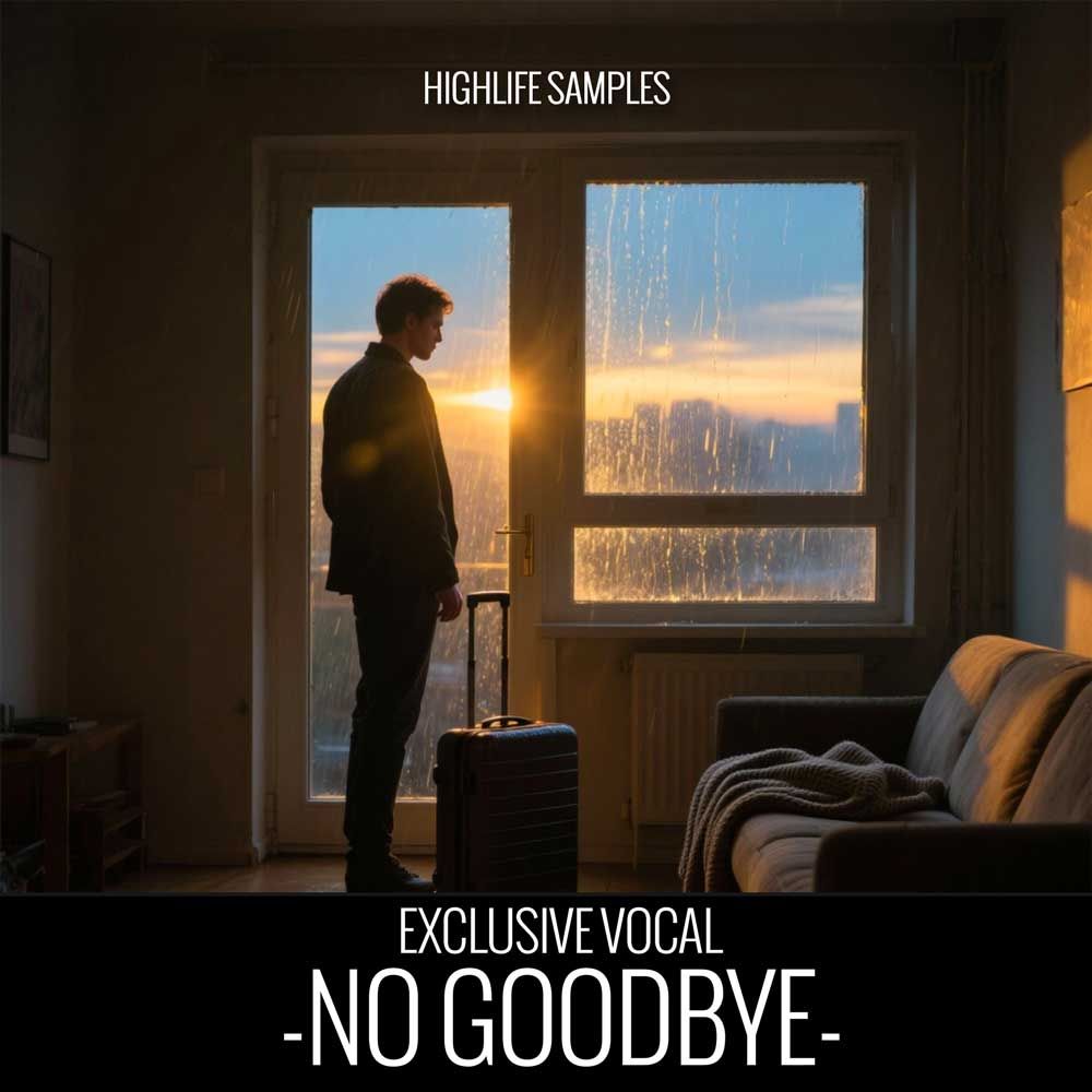 No Goodbye