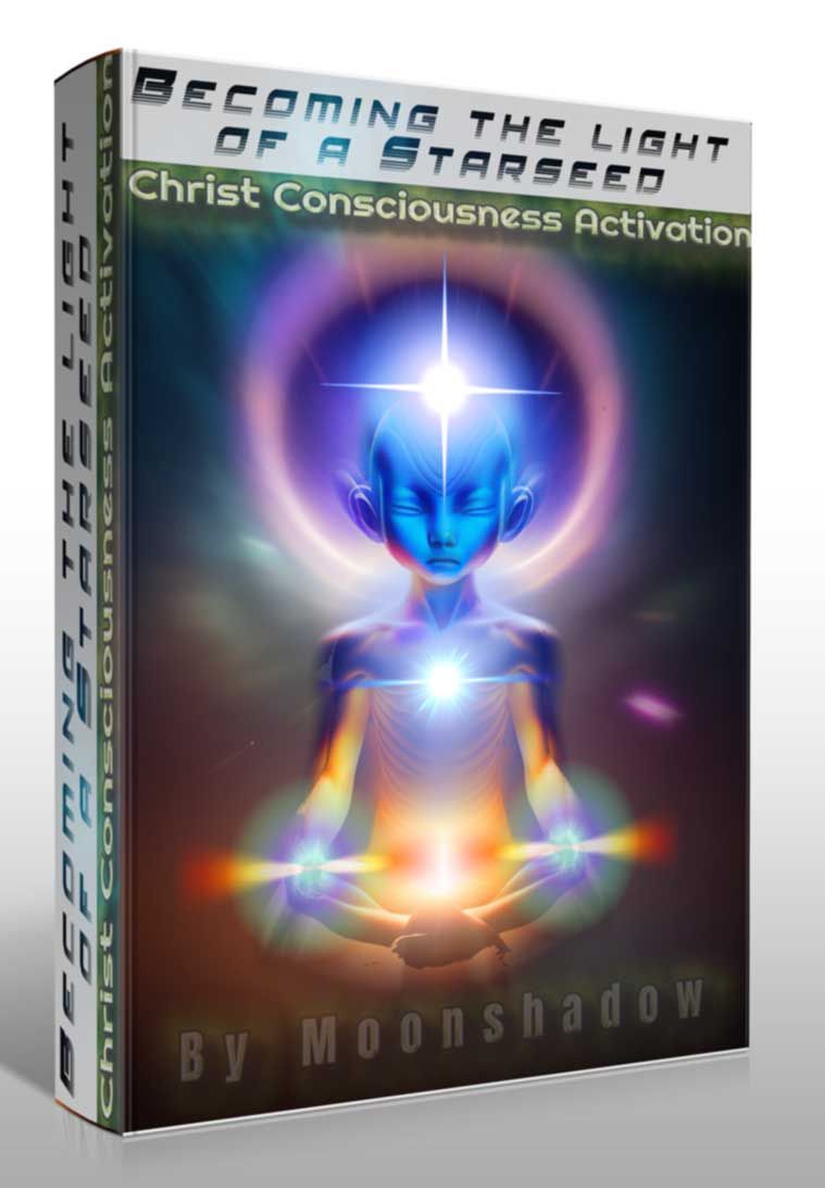 Quantum Consciousness Pro
