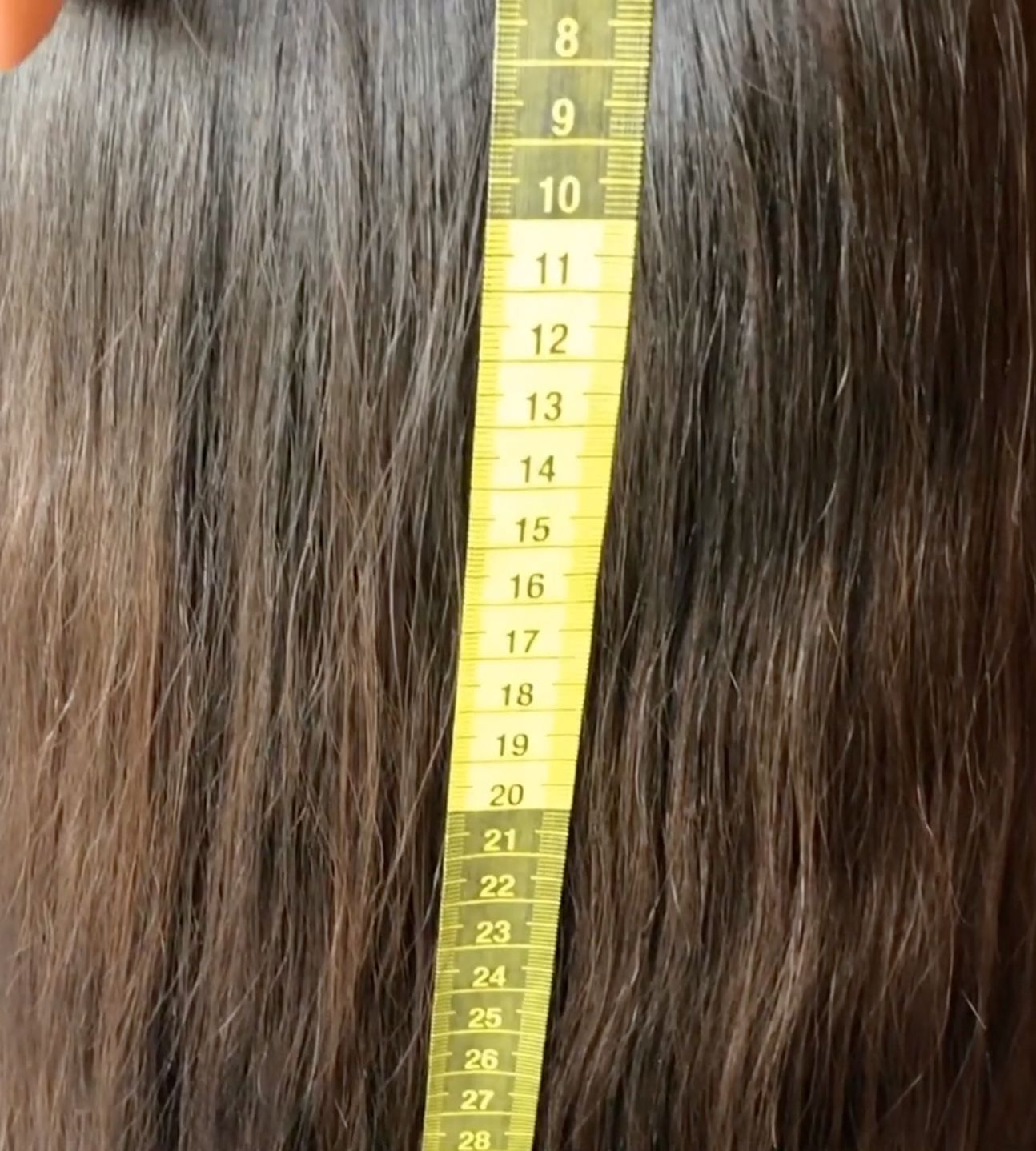 VIDEO - Extremely thick and long hair