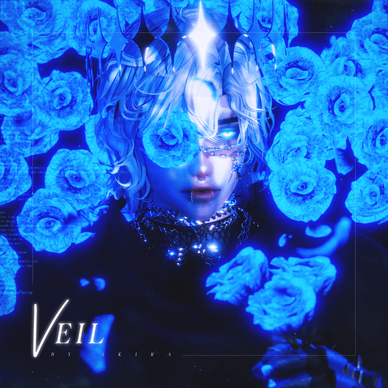 VEIL