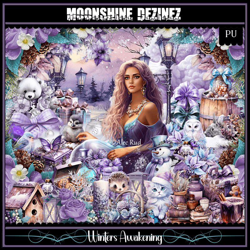 MD-Winters Awakening