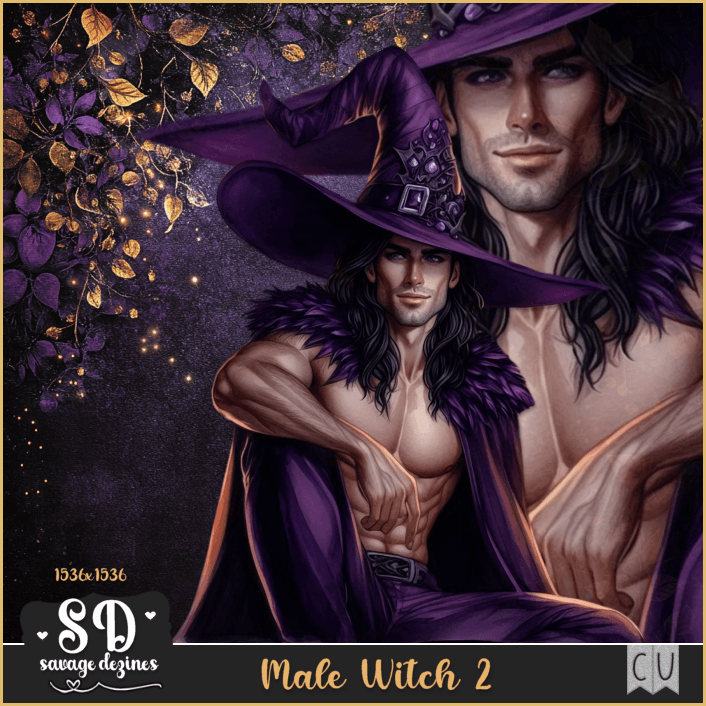 SD - AI CU Male Witch 2