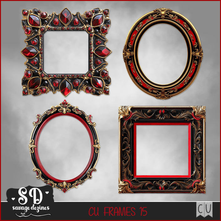 SD - AI CU FRAMES 15