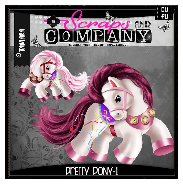 SNCO - Pretty Pony 1
