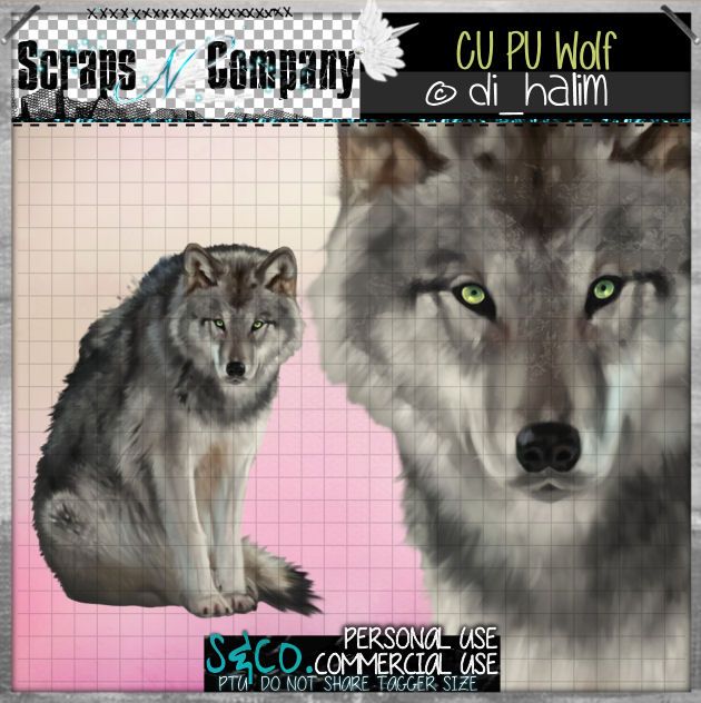 SNCO - Wolf
