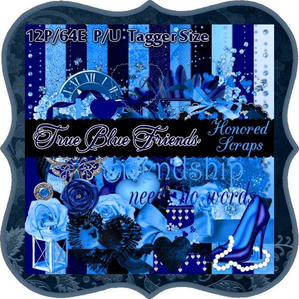 HS True Blue Friends - Tagger